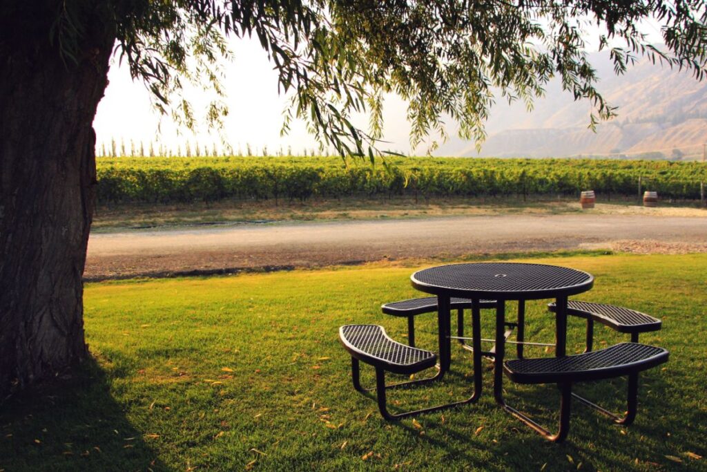 6 Different Types of Picnic Tables – Journey Junket